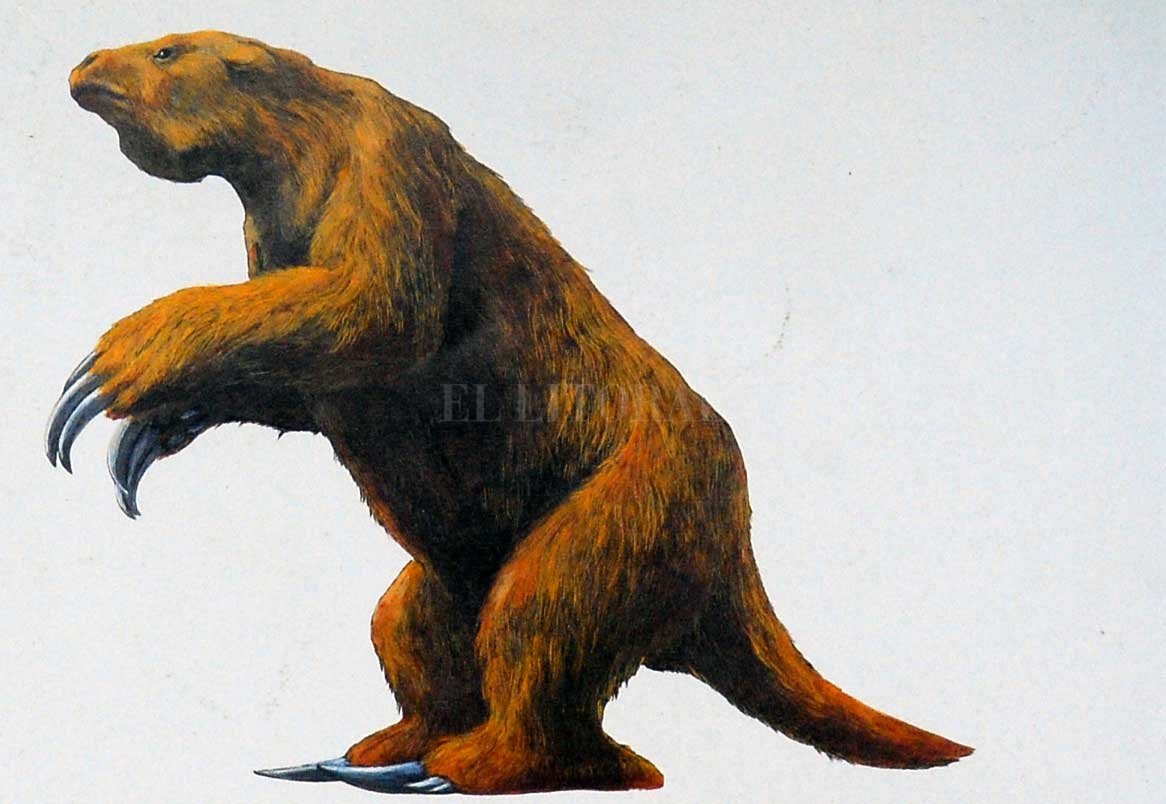 La historia del gigante que esperó miles de años para ser encontrado en ...