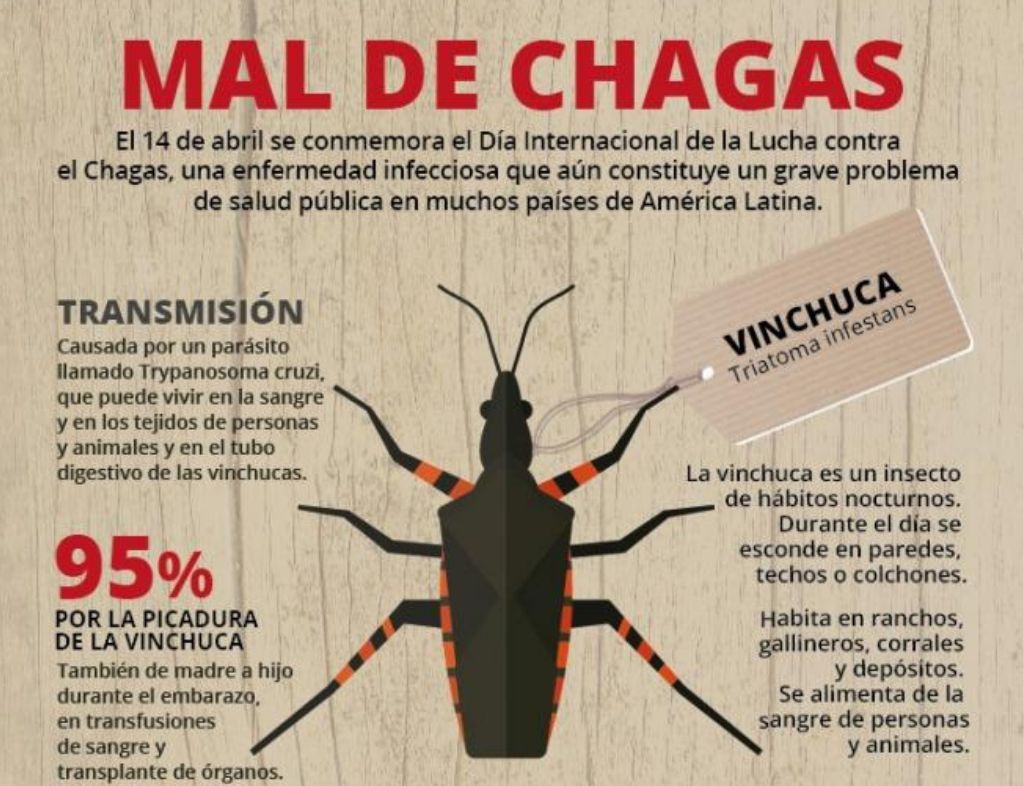 Chagas: una enfermedad que crece y cuyos datos son preocupantes : : El ...